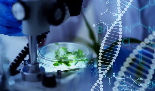 Projects | MyPBLWorks